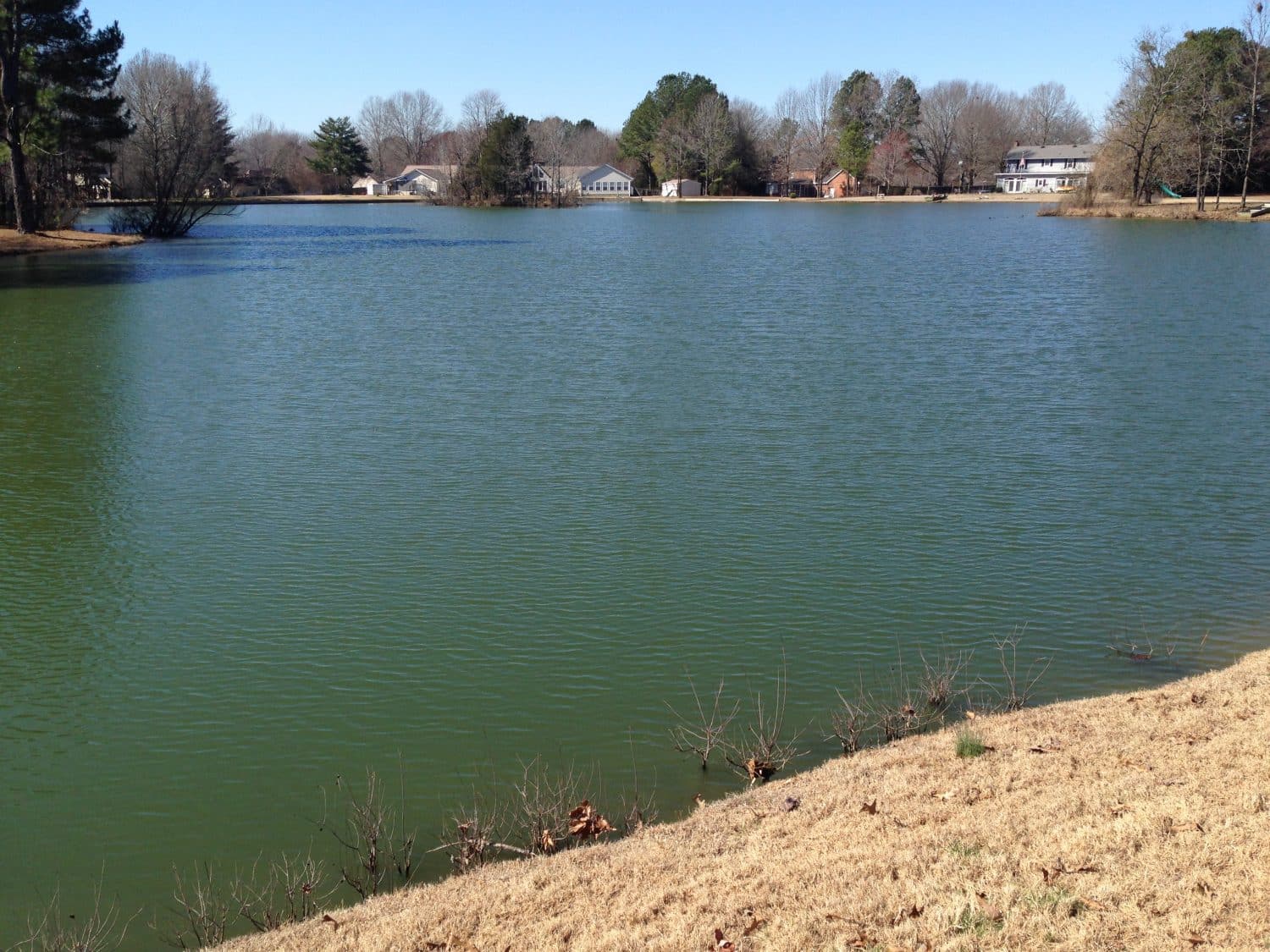 Outdoors Notebook - Fishing 20-feet deep producing more than bass ...
