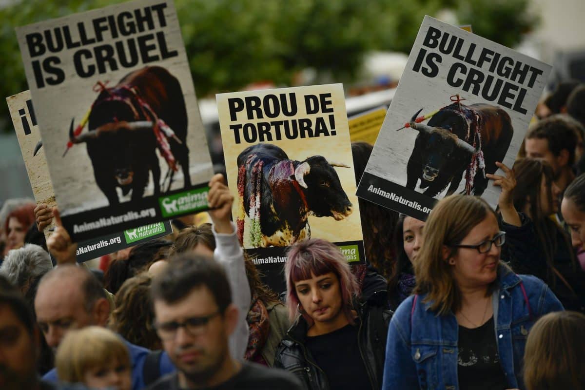 Protest against bullfights in Pamplona before famed festival - Talk-N ...